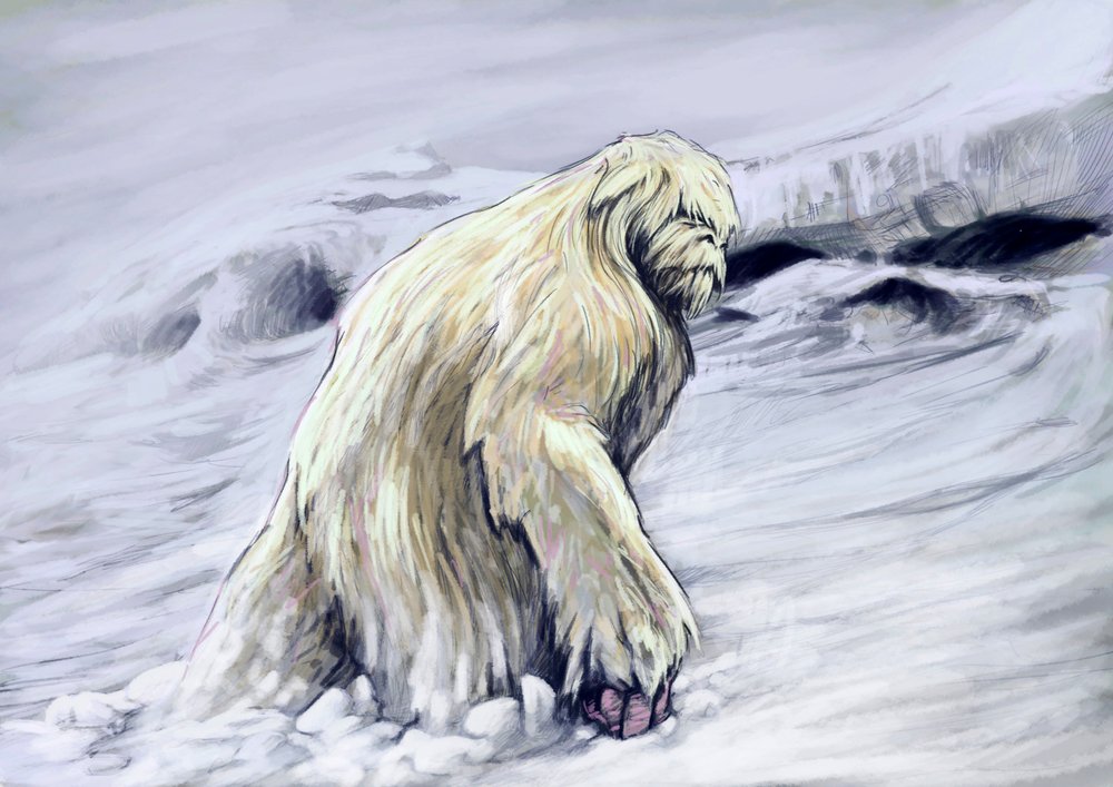 Cryptozoology Creatures Discovered Darren Naish в X: „Next, We