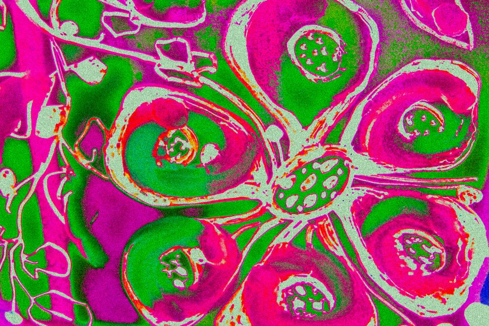 Six Senses of Joy by Alice Gur Arie: Buy fine art print