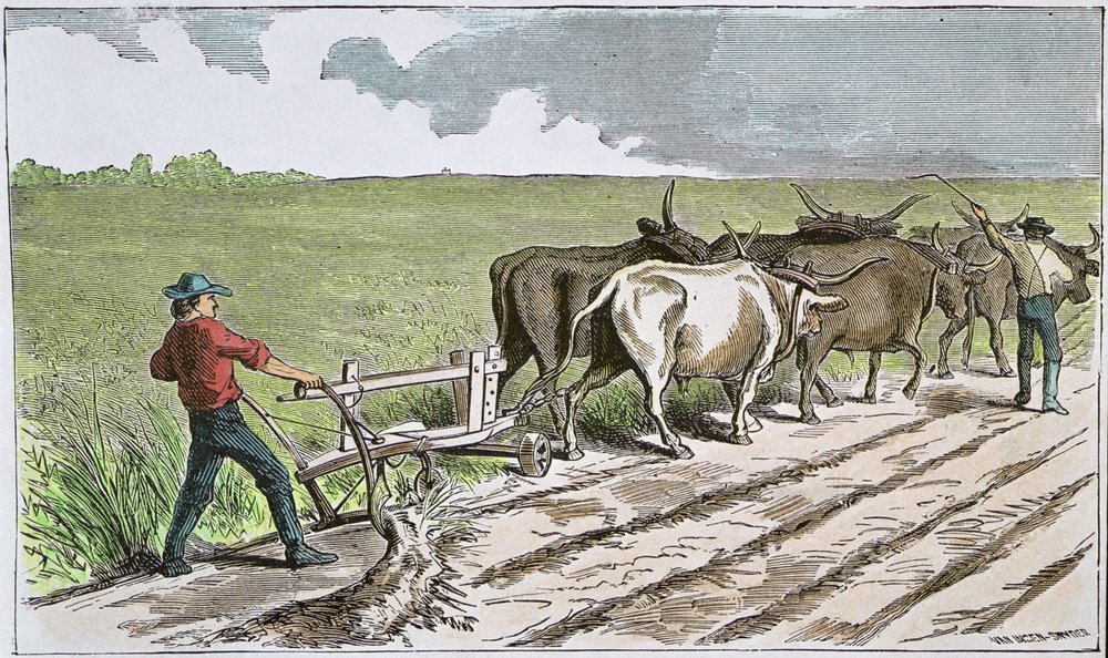 Sodbusters of the American West, c.1880 by American School