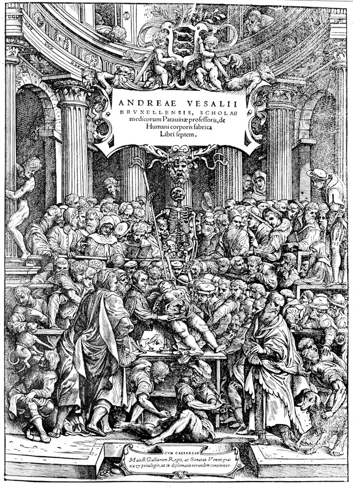 andreas vesalius dissection