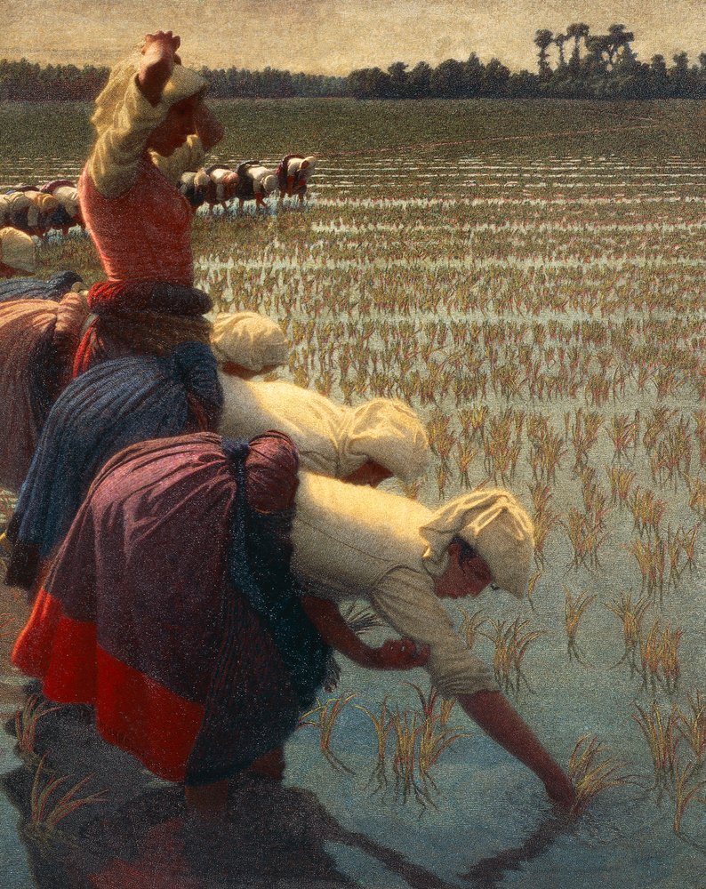 The Mondine (Italian female rice workers) by Angelo Morbelli