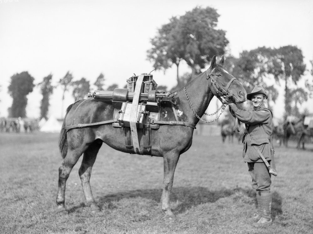 An Australian soldier with a pack horse loaded with a machine gun at ...