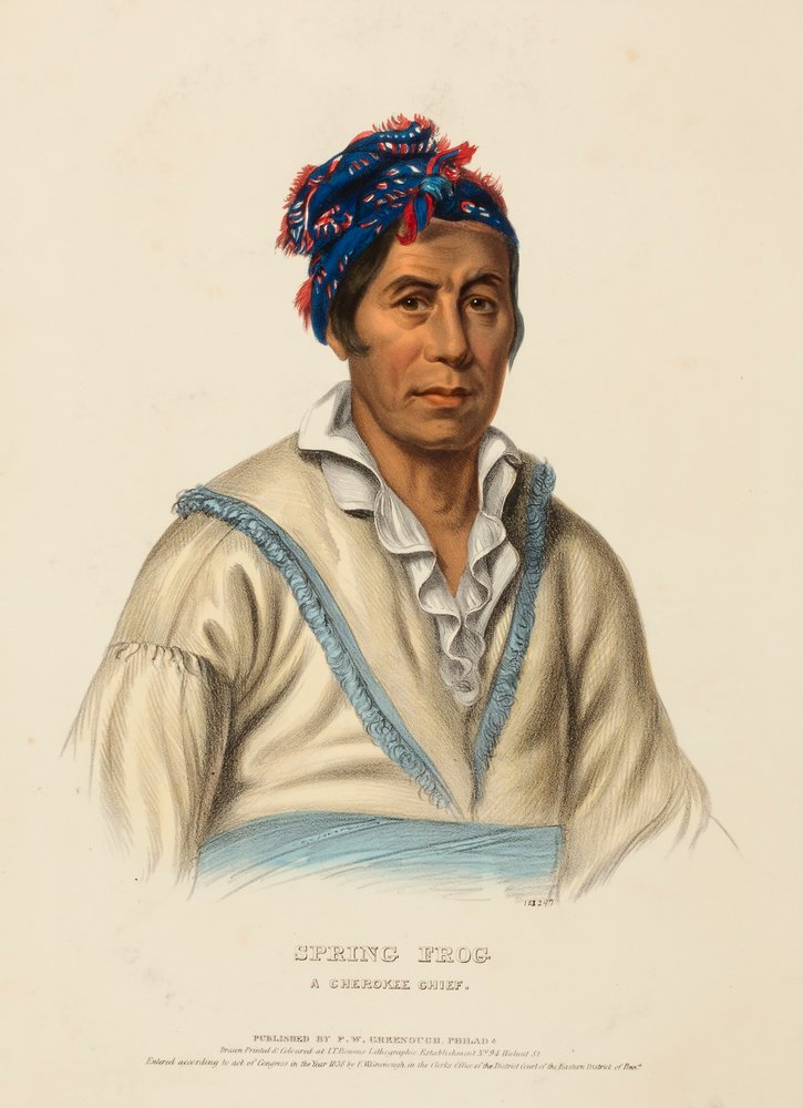 Spring Frog, a Cherokee Chief, from History of the Indian Tribes of ...