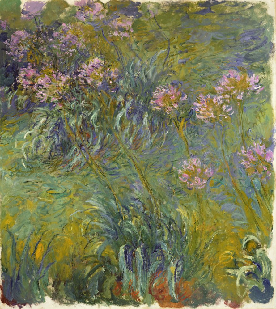 Agapanthus by Claude Monet: Highest-quality art reproduction
