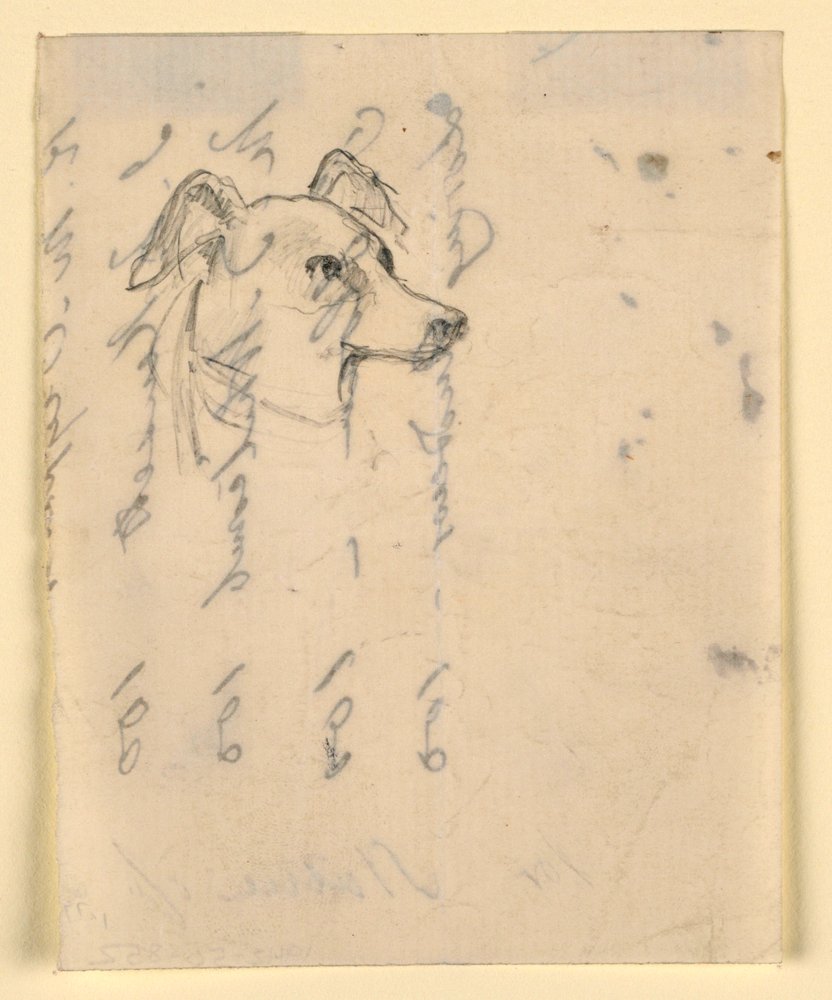 Dog's Head, probably Milo (a Pointer), ca. 1862