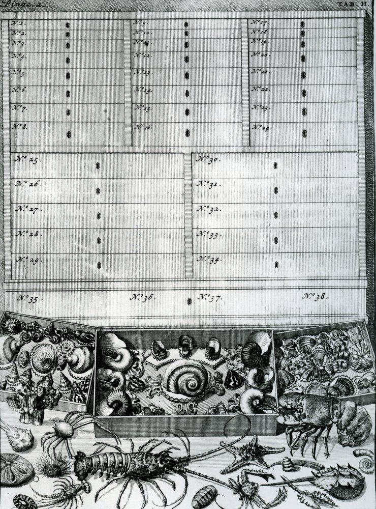 Table II from 'Elenchus Tabularum' by Levinus Vincent, published 1719