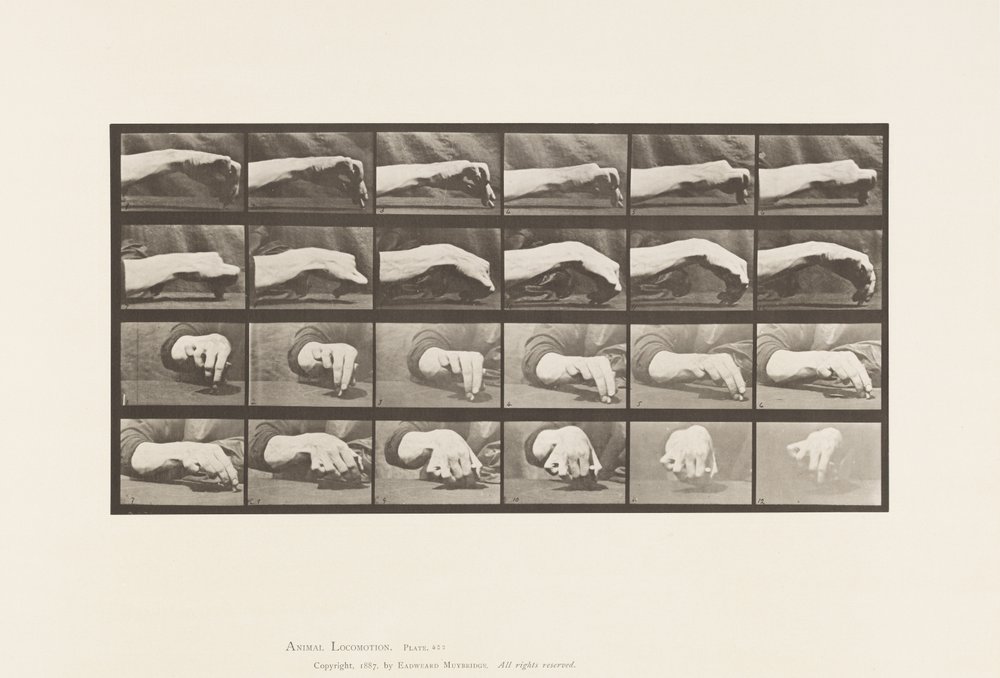 Movement of the Hand; Drawing a Circle by Eadweard Muybridge