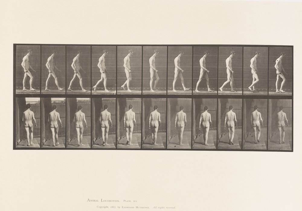 Locomotor Ataxia; Walking by Eadweard Muybridge