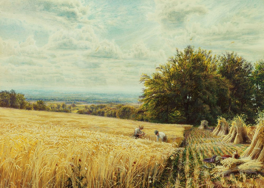 The Harvesters by Edmund George Warren: Buy fine art prints
