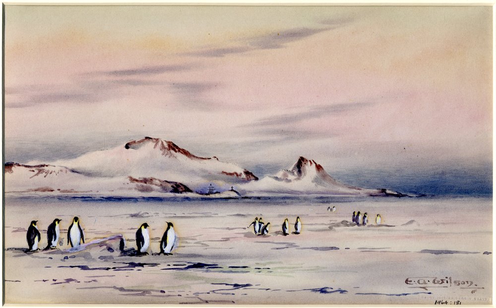 The Discovery Winter Quarters, c.1901-04