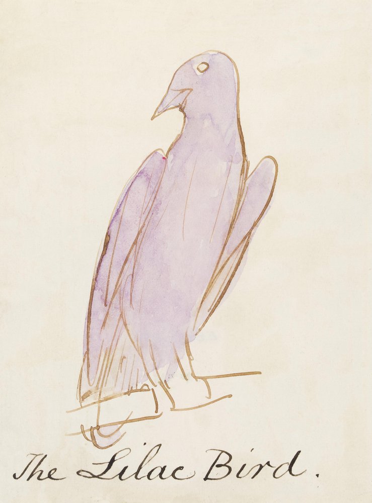 The Lilac Bird, from Sixteen Drawings of Comic Birds