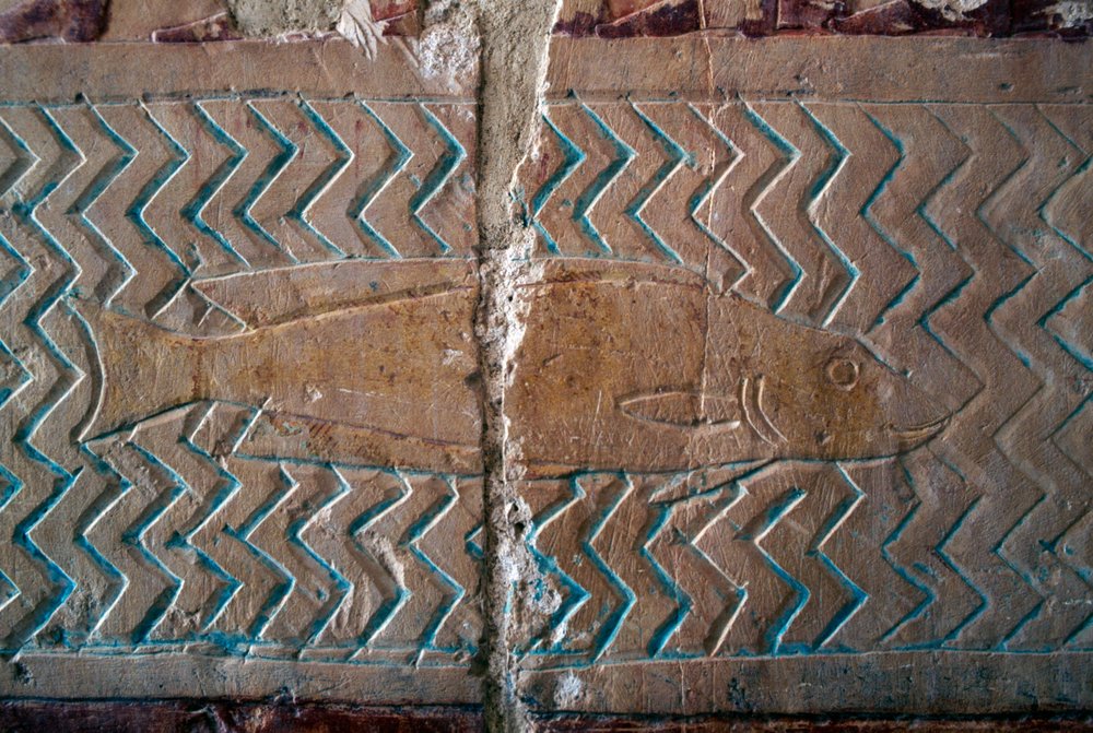 Fish, scenes of Punt kingdom, south wall of central colonnade, Mortuary ...