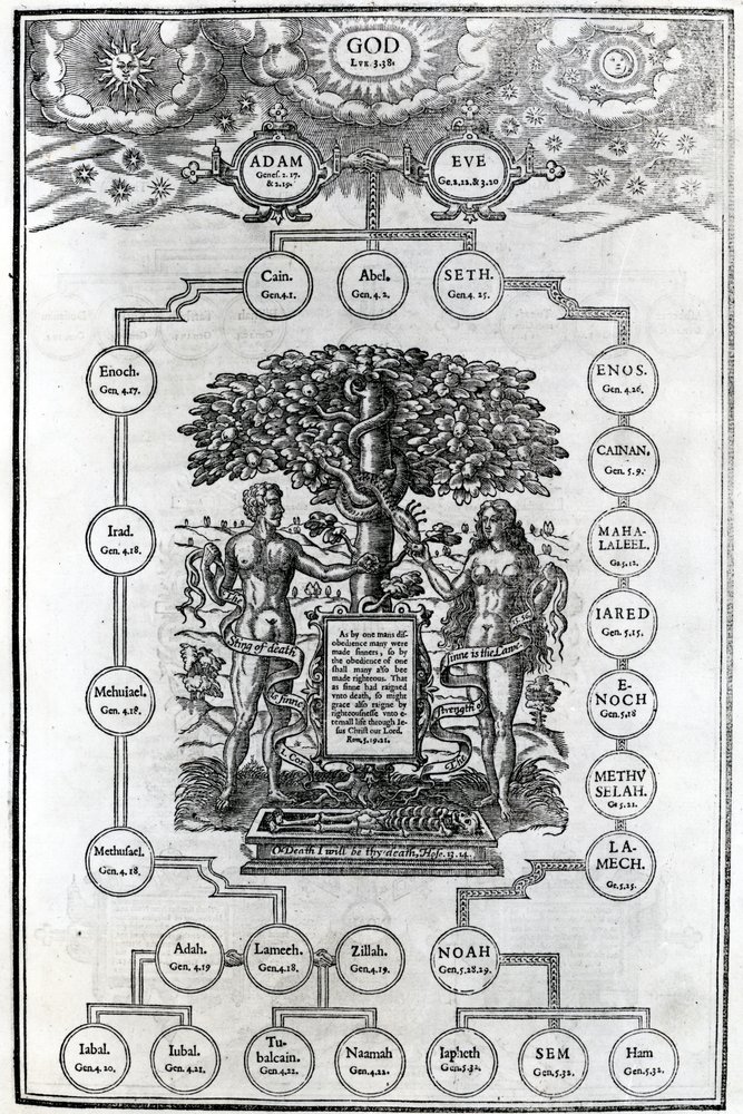 Adam and Eve's Family Tree by English School