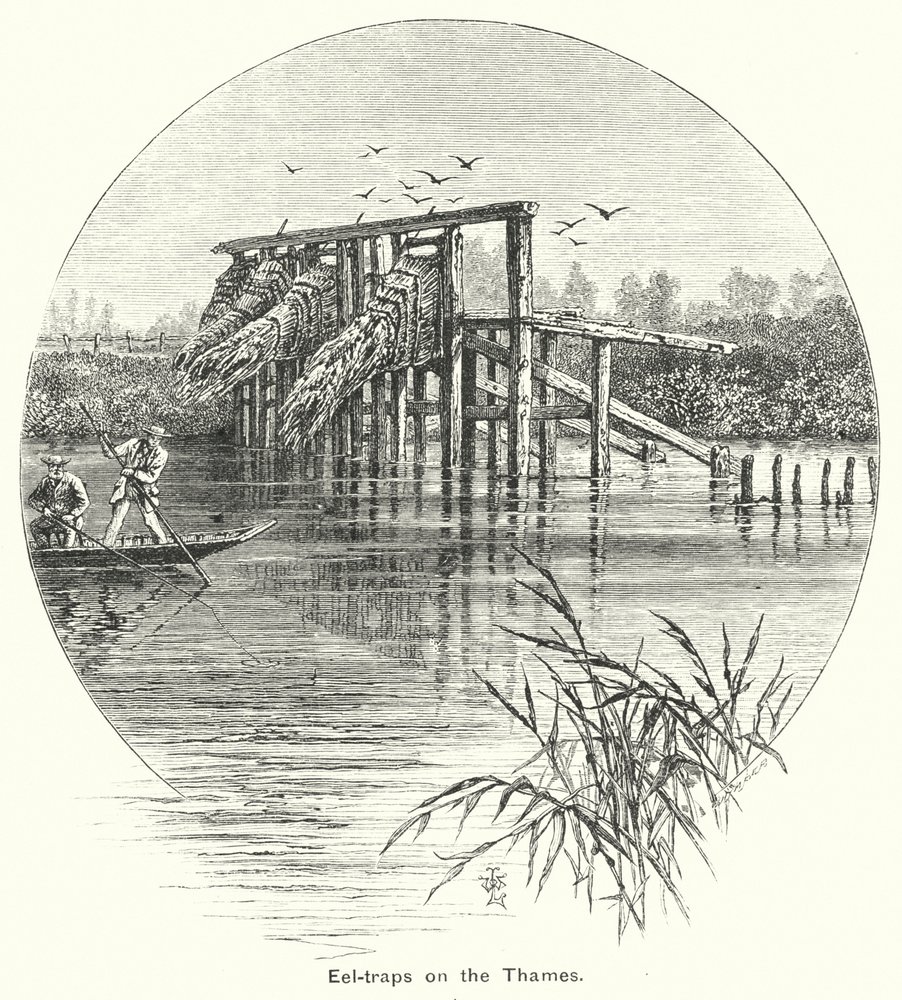 Eel-traps on the Thames by English School: Fine art print