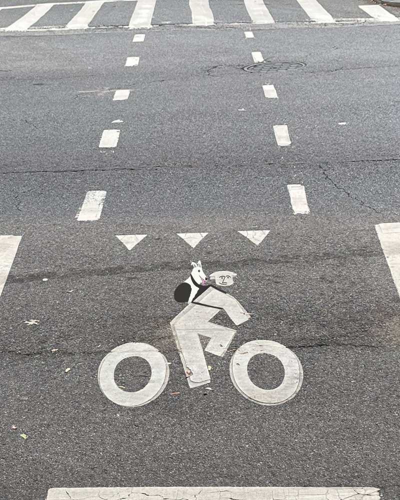 Bike Lane Signage On Street by Evan Sklar: Fine art print