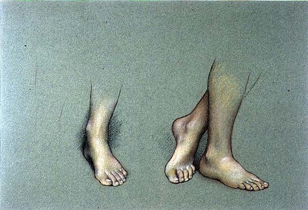 Study of Feet by Evelyn De Morgan: Buy fine art print