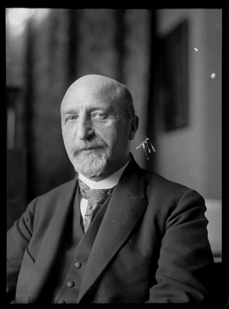 Picture of Karl Seitz (1869-1950) by Ferdinand Schmutzer