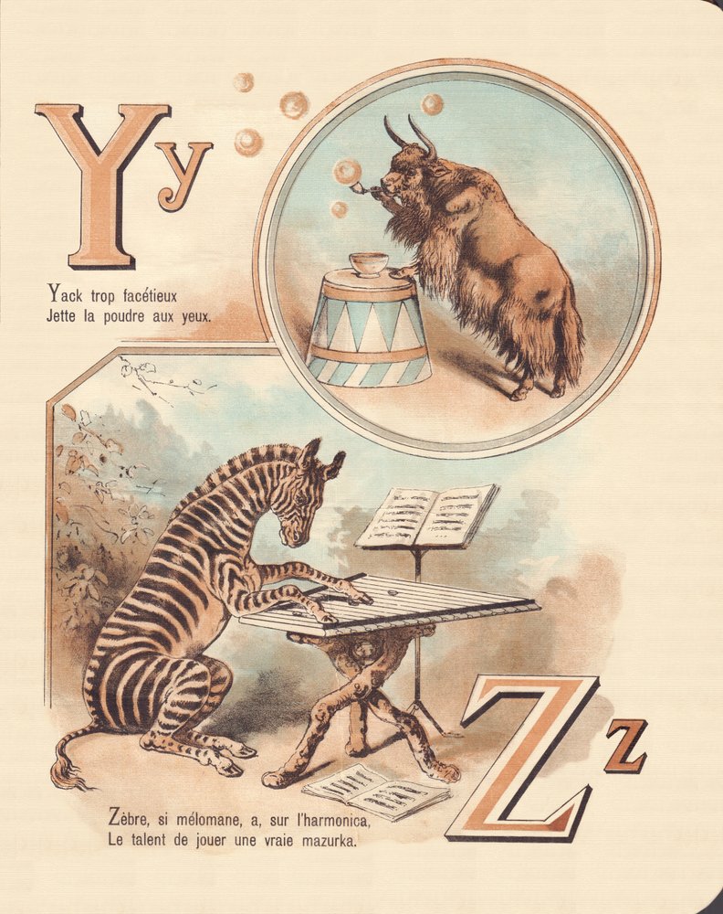Y Z: Yak, Zebra by French School: Premium art reproduction