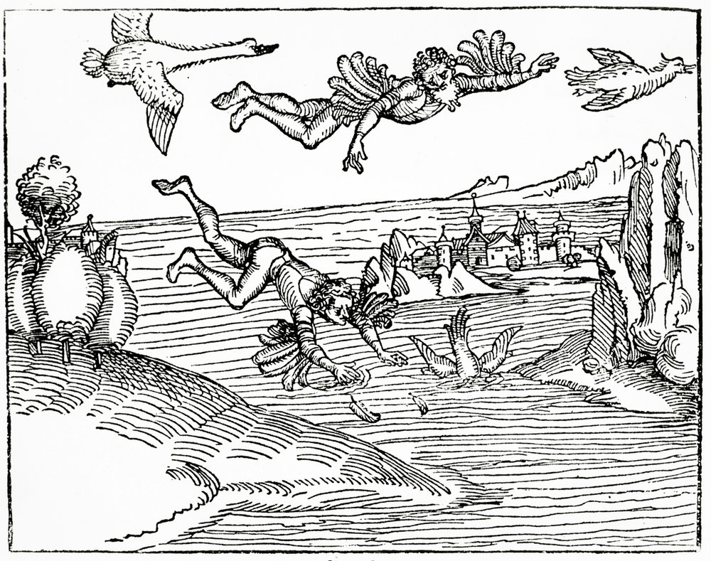 icarus falling sketch