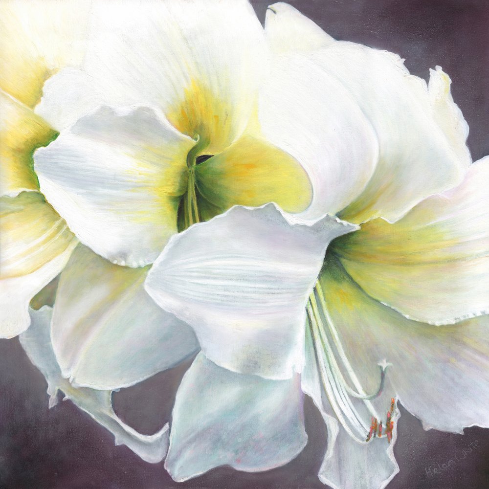 Pure Potential, 2016 by Helen White: Buy fine art print