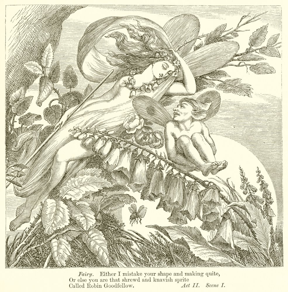 A Midsummer Night's Dream by Henry Courtney Selous