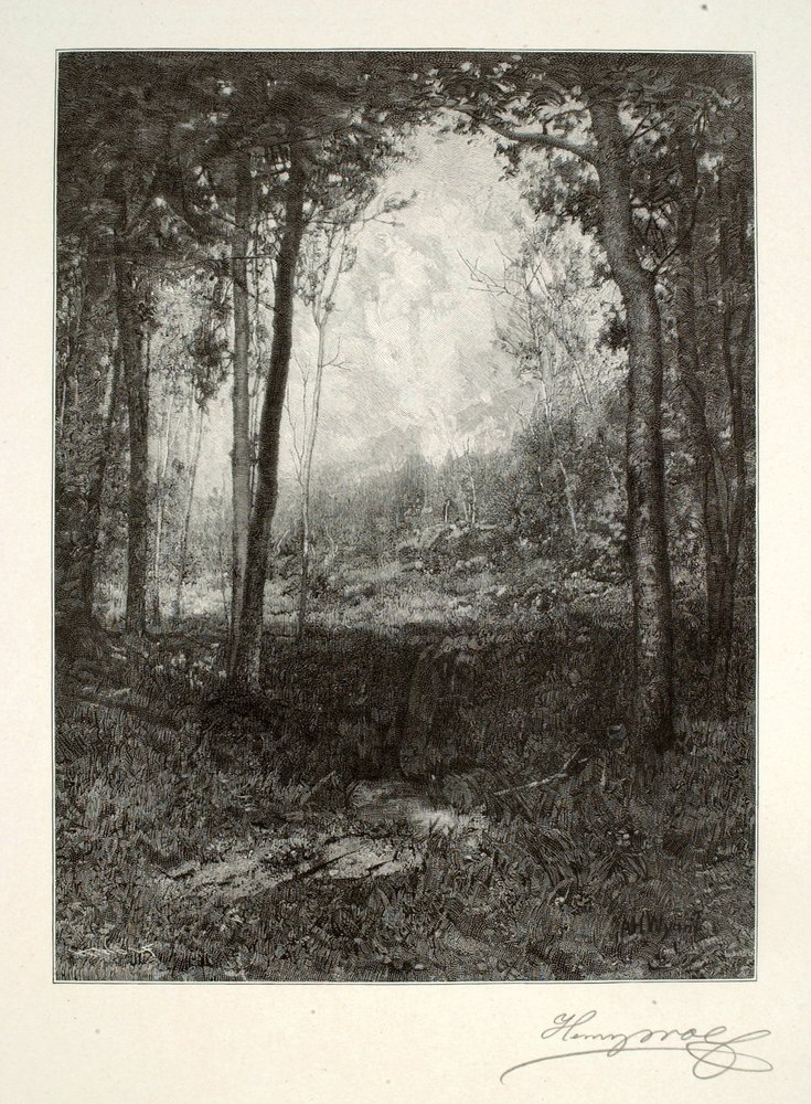 In the Adirondacks by Henry Wolf: Buy fine art print