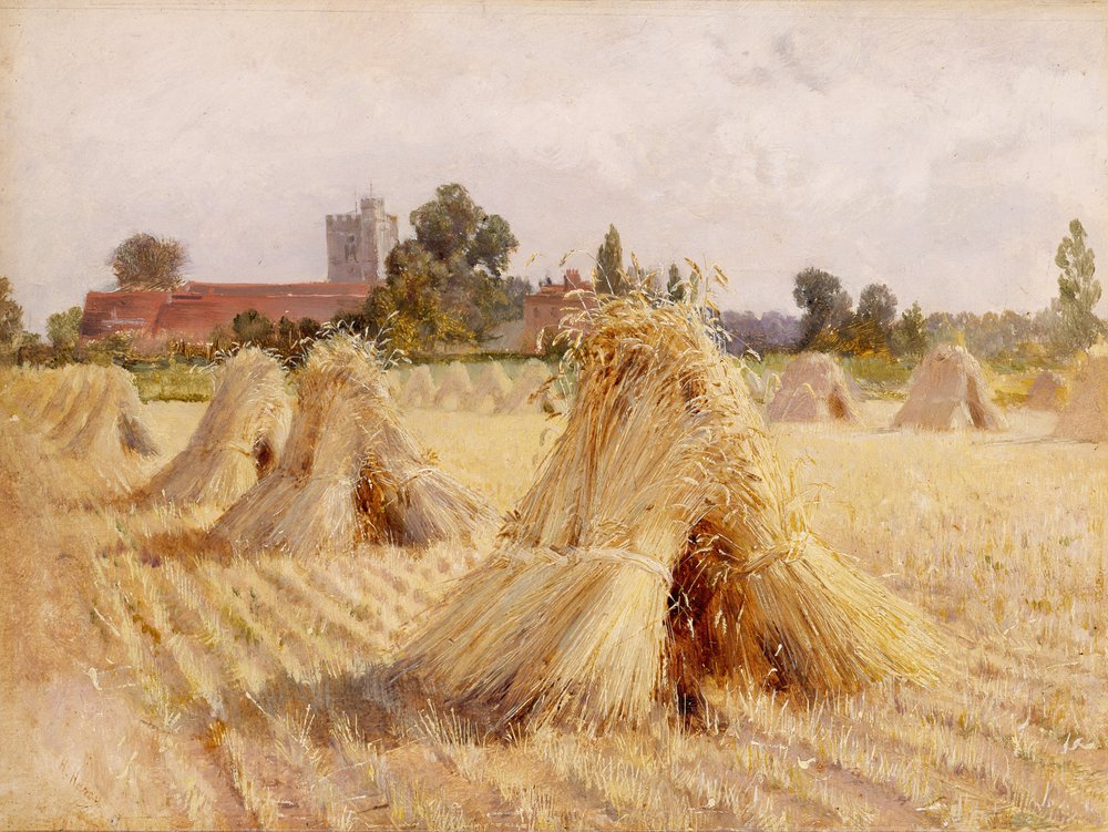 corn stooks
