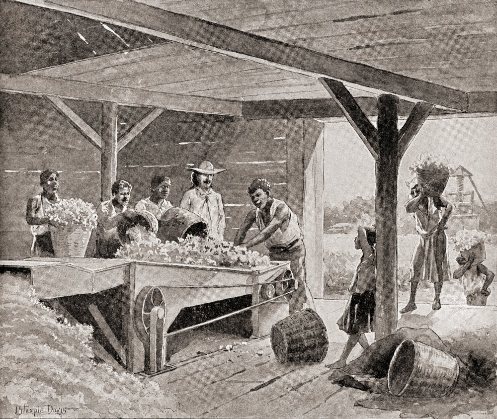 slaves using cotton gin