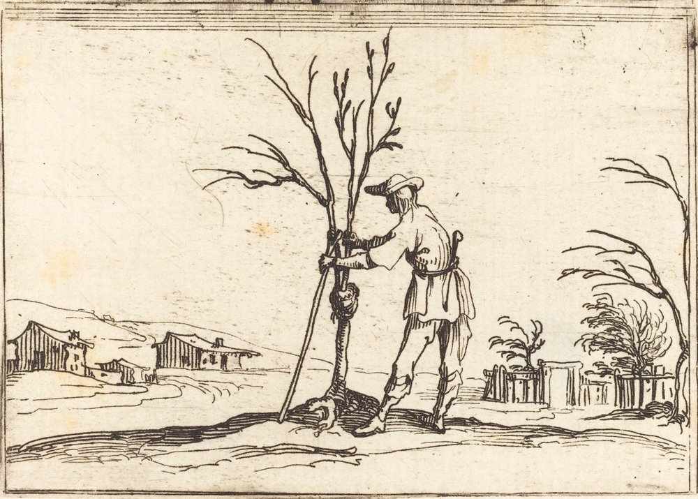 Gardener Pruning a Tree by Jacques Callot: Fine art print