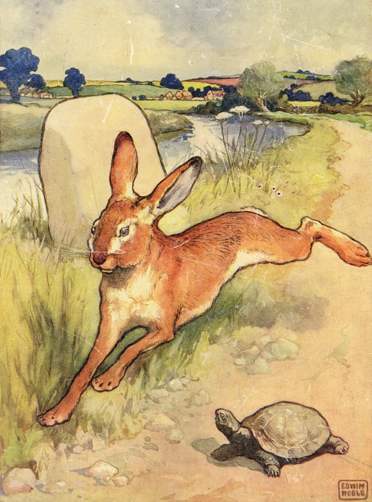 rabbit with tortoise