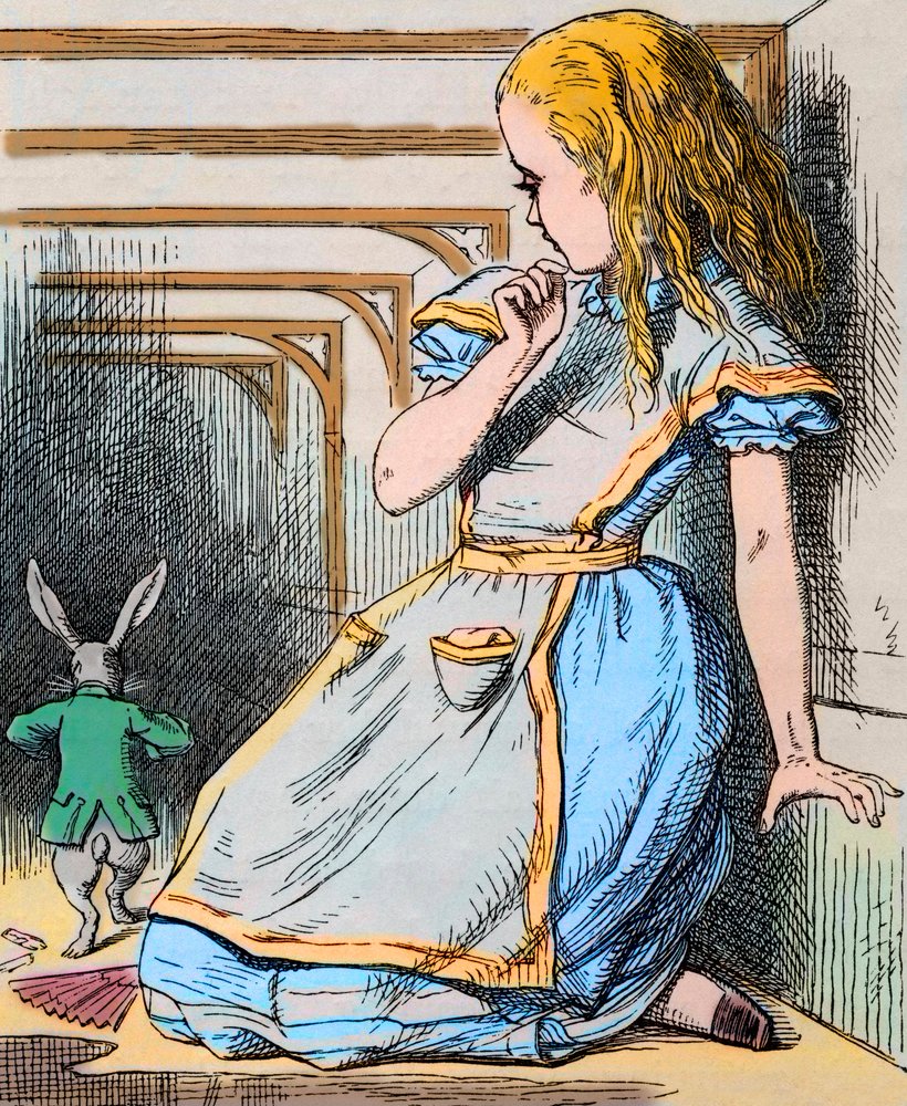 how to draw white rabbit alice in wonderland