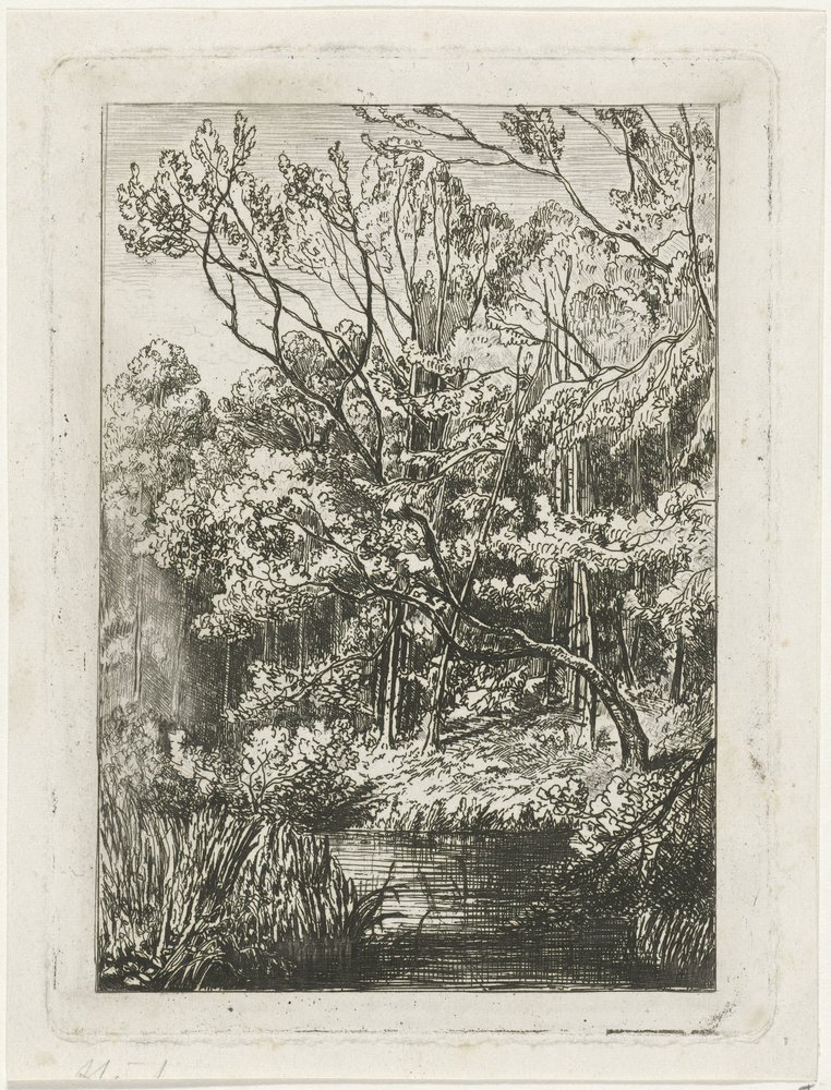 Forest View by Joseph Hartogensis: Buy fine art print