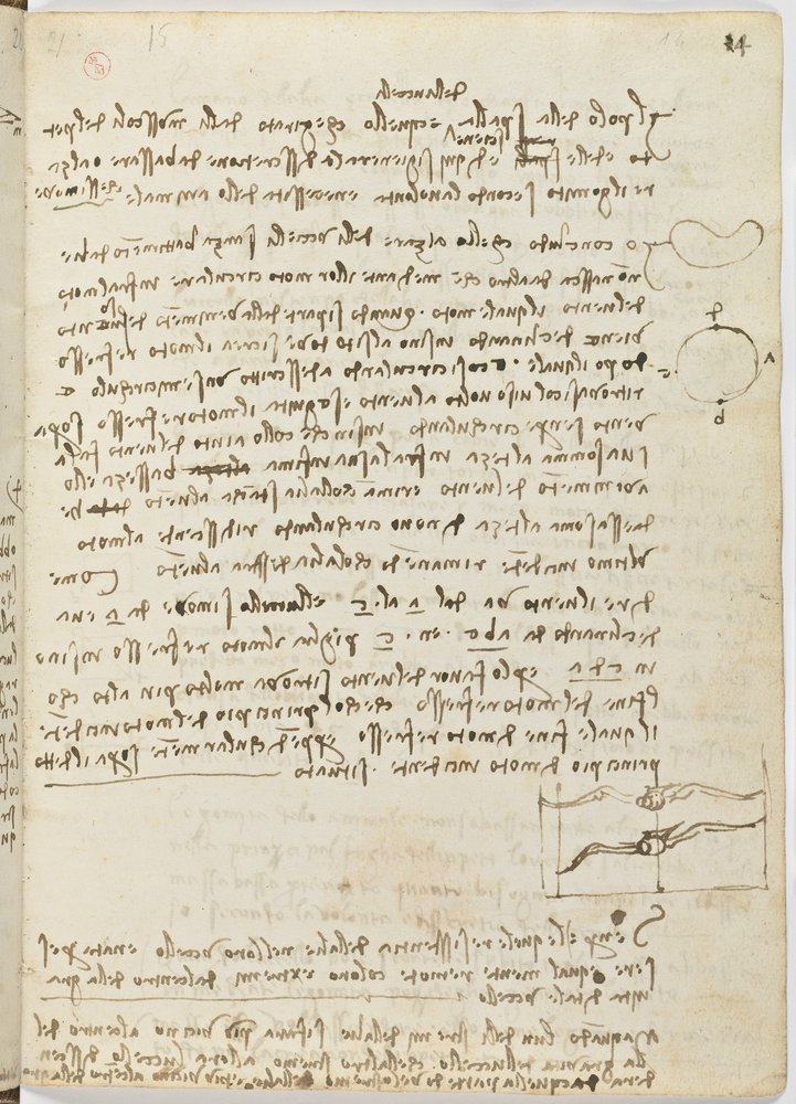 Birds Flight Code, Sheet 14 Recto by Leonardo da Vinci
