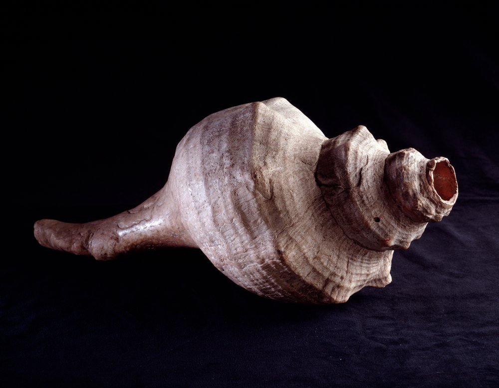 Pre-Columbian Art, Mayan Civilization, Classical Period: Sea Shell Used ...