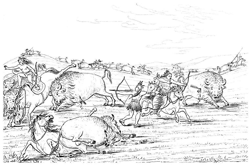 Easy To Draw Native American Hunting 840+ Native American Bow Stock