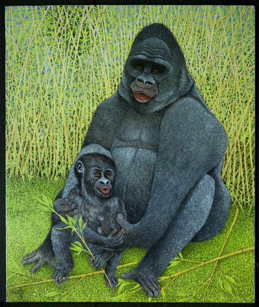 Gorillas by Pat Scott: Highest-quality art reproduction