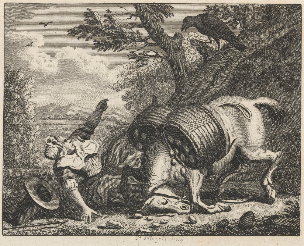 The Farmer's Wife and the Raven by Peter Mazell