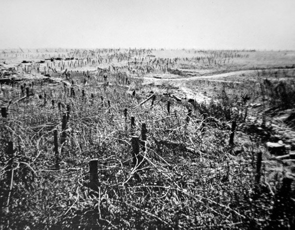barbed wire ww1