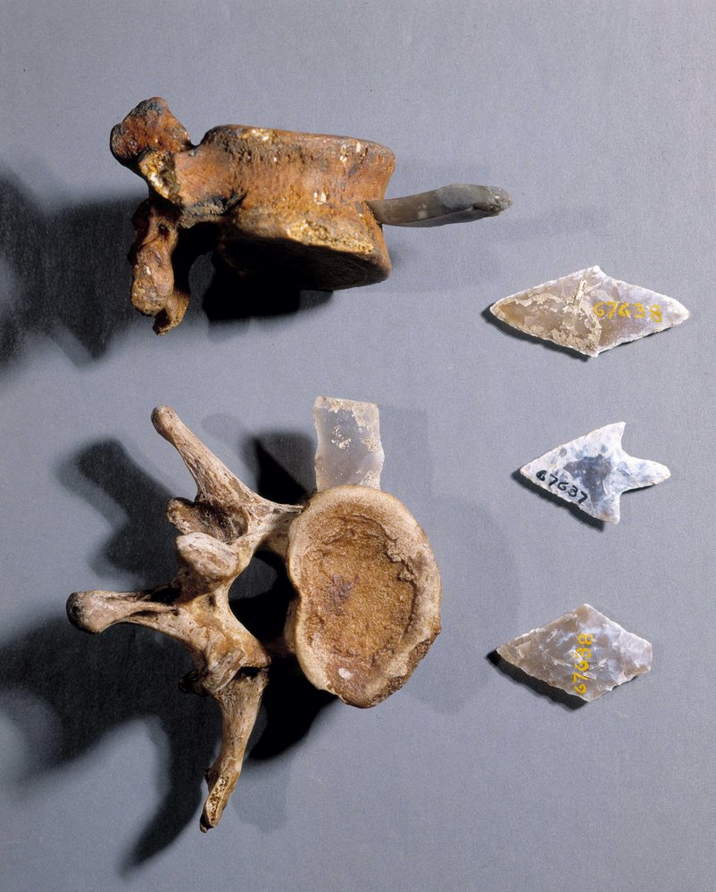 Flint with prehistoric bone in, Museum of National Antiquities
