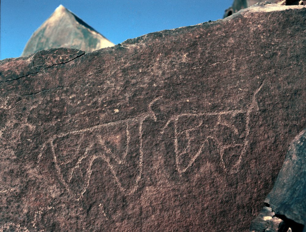Rock art: grave rock of the representation of cattle (Tazina style ...