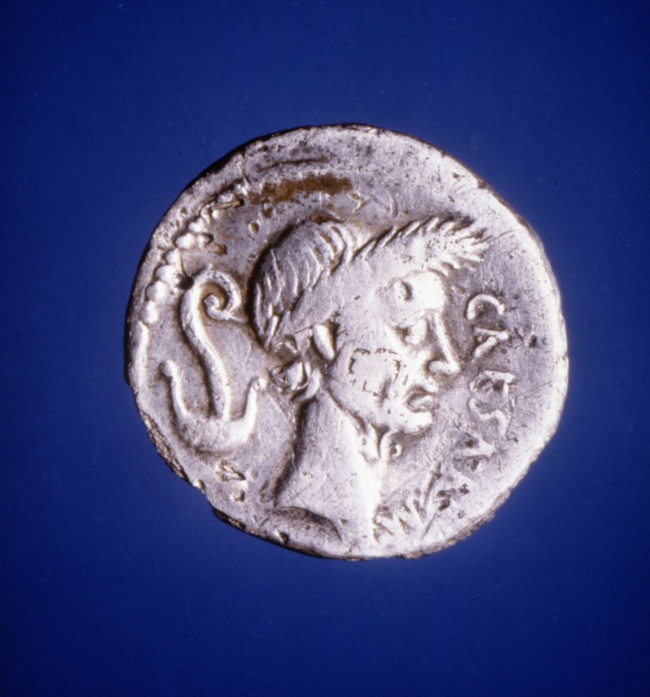 Julius Caesar - Roman coin by Roman: Buy fine art print