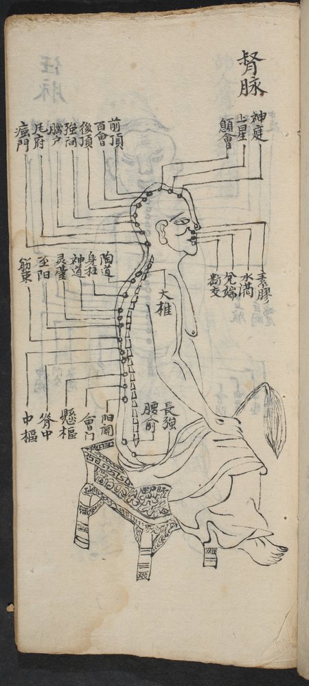 acupuncture points head