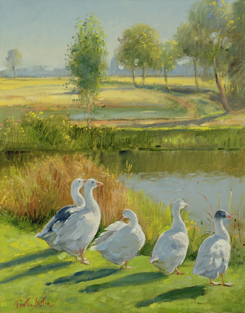 Gooseguard by Timothy Easton: Buy fine art print