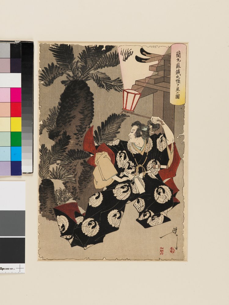 Mori no Ranmaru and the Mysterious Sago Palm