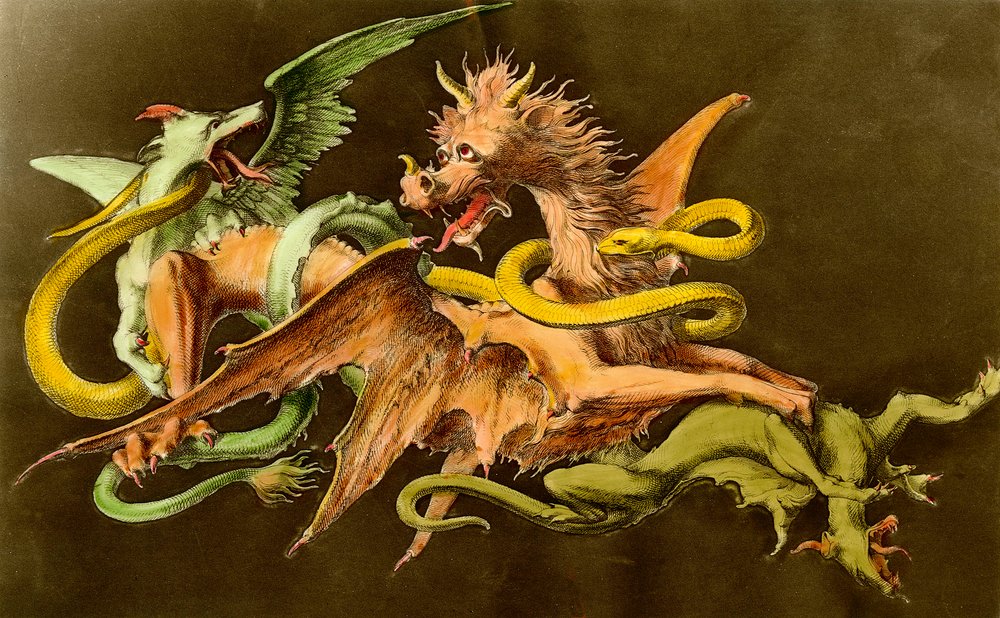 two dragons fighting art