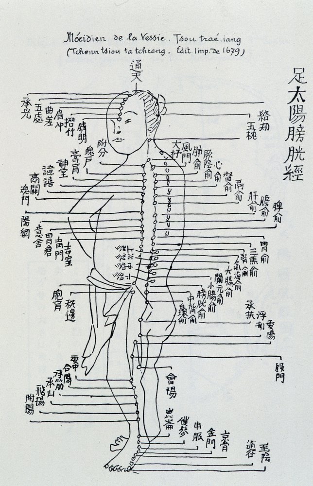Meridian Chinese Medicine