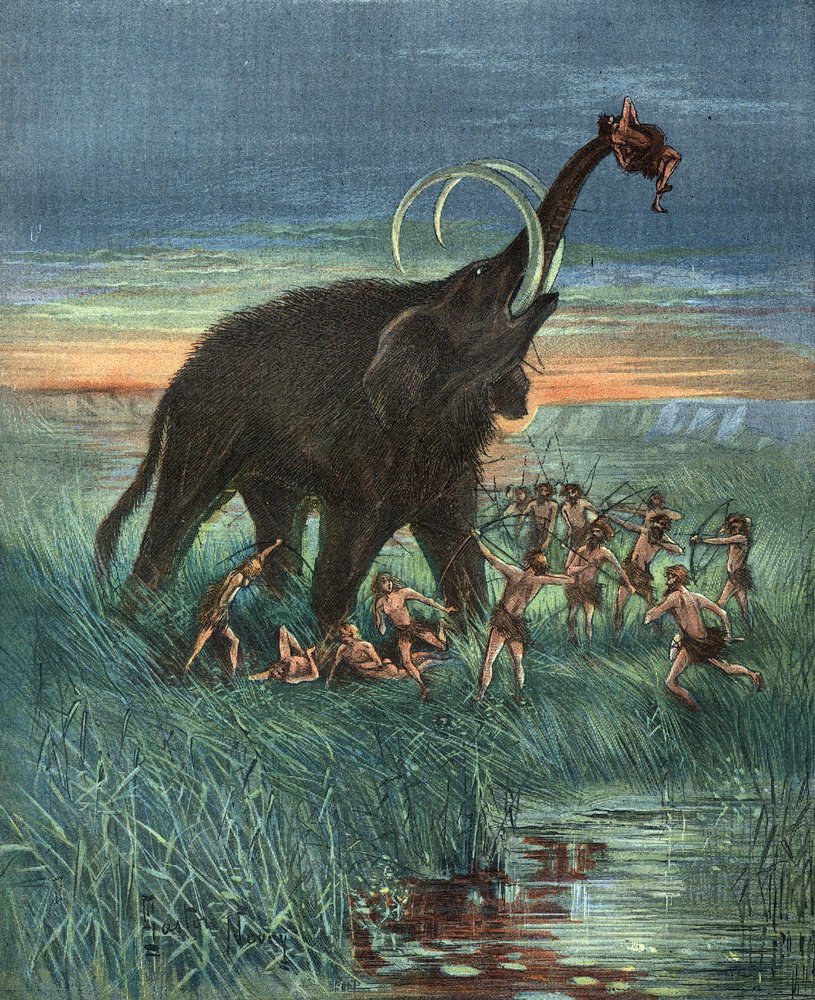 Stone Age Animals Hunted