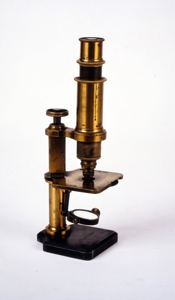 Microscope (19th century) by Unknown artist
