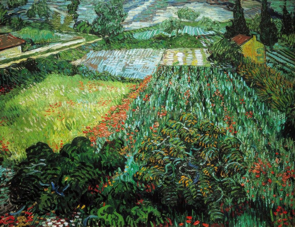 Poppy Field by Vincent van Gogh: Buy fine art print