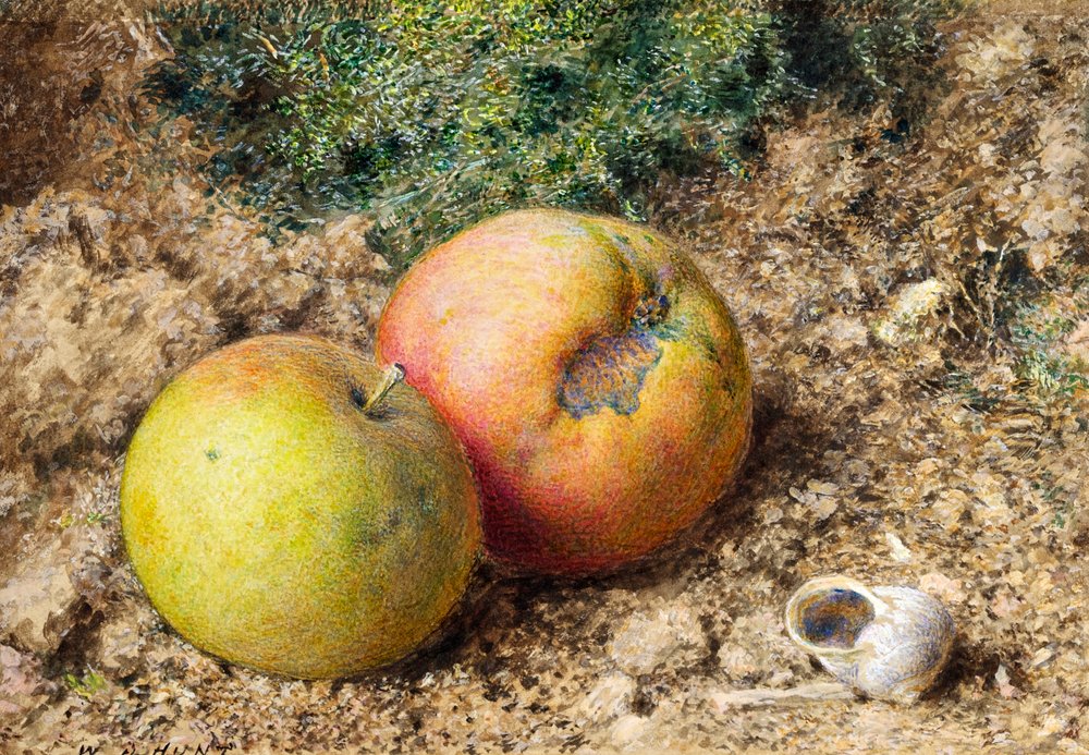 Still Life with Two Apples and a Snail Shell